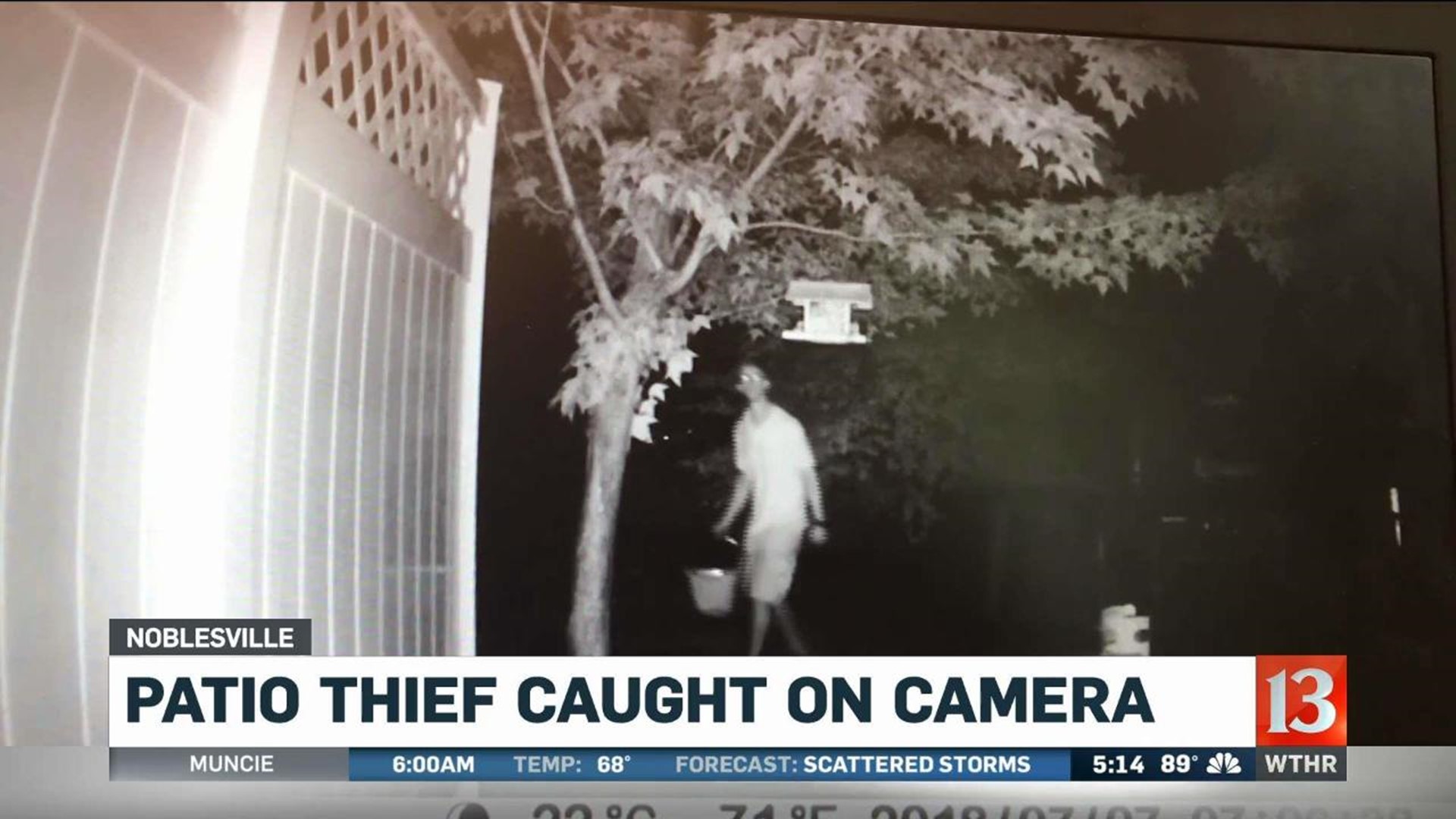 Camera meant to watch squirrels catches possible theft in man's ...