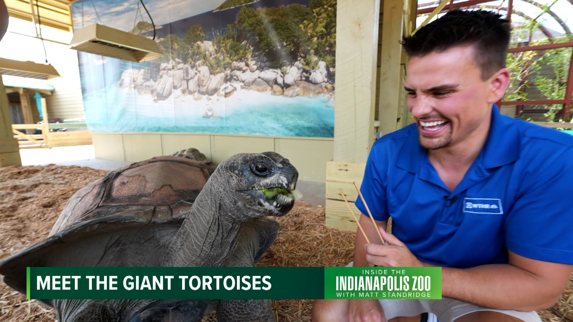 Indianapolis Zoo reveals brand new giant tortoise sanctuary | wthr.com