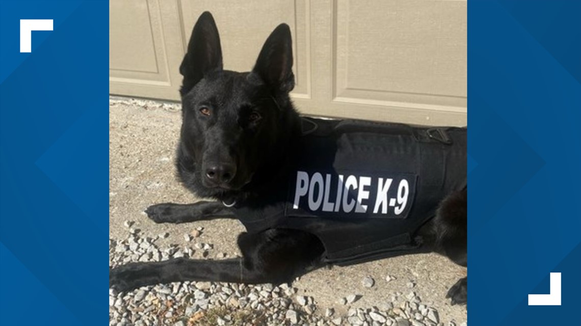 Carmel Police K-9 receives body armor donation | wthr.com