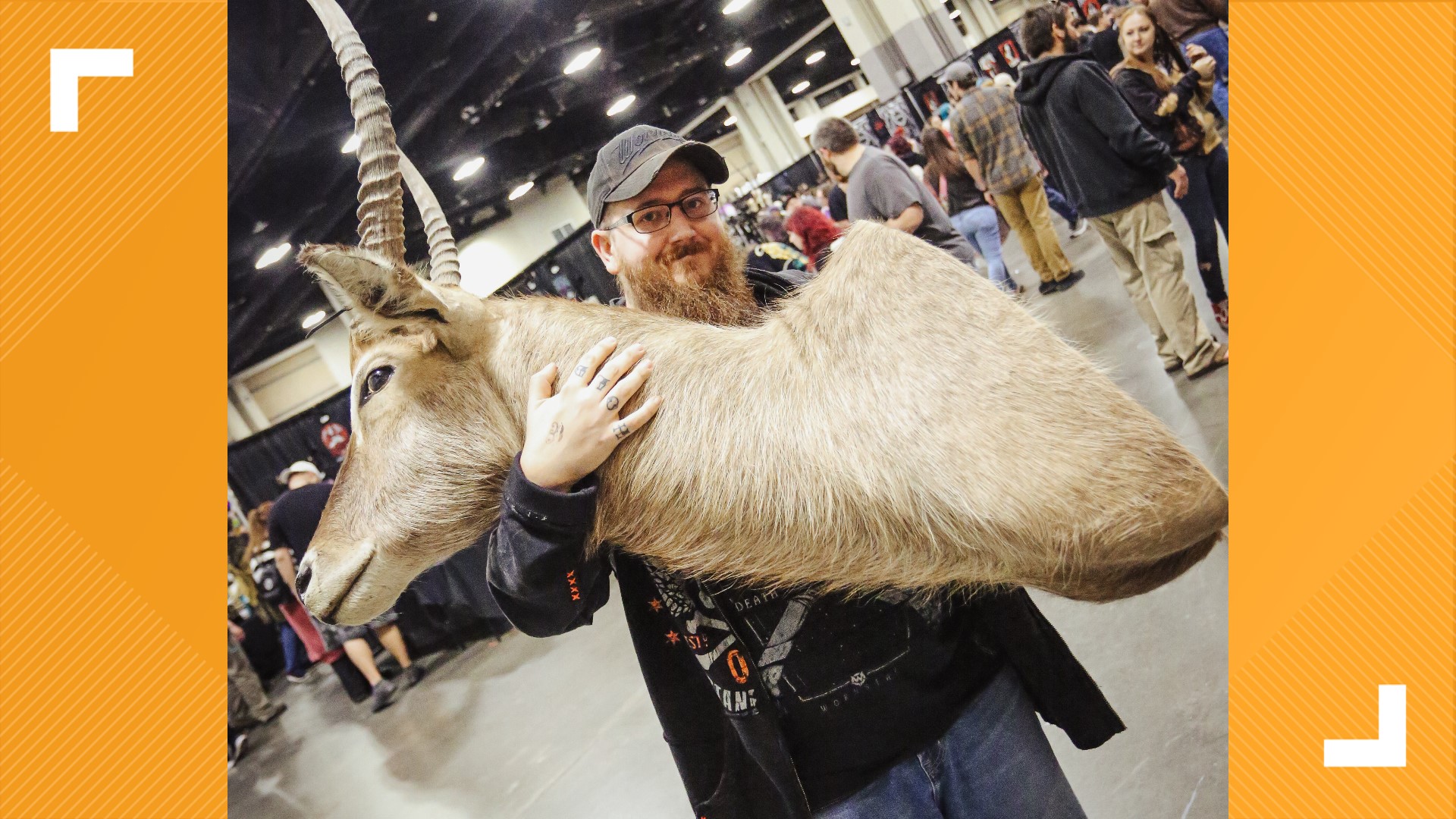 Indiana State Fairgrounds hosting Oddities and Curiosities Expo | wthr.com