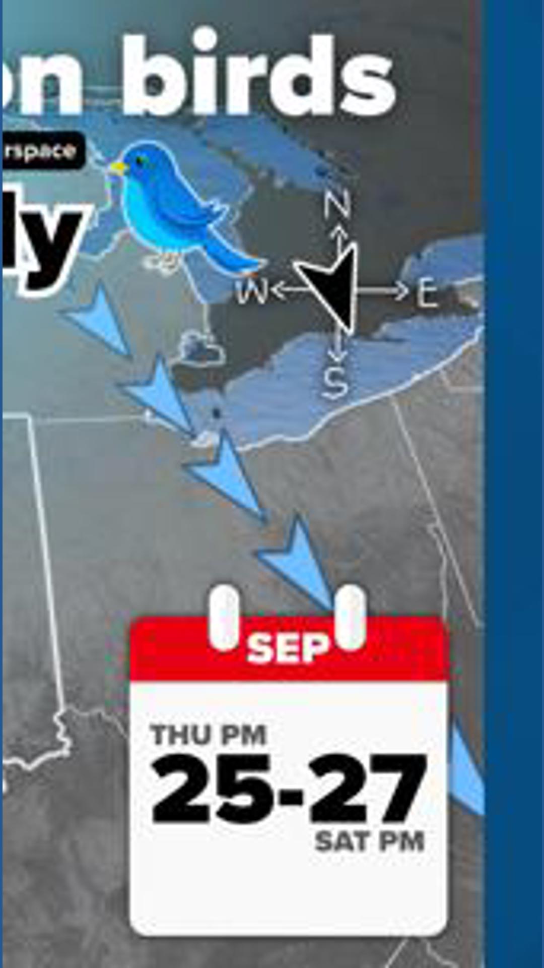 Peak bird migration happening now over Indiana: Millions flying south ...