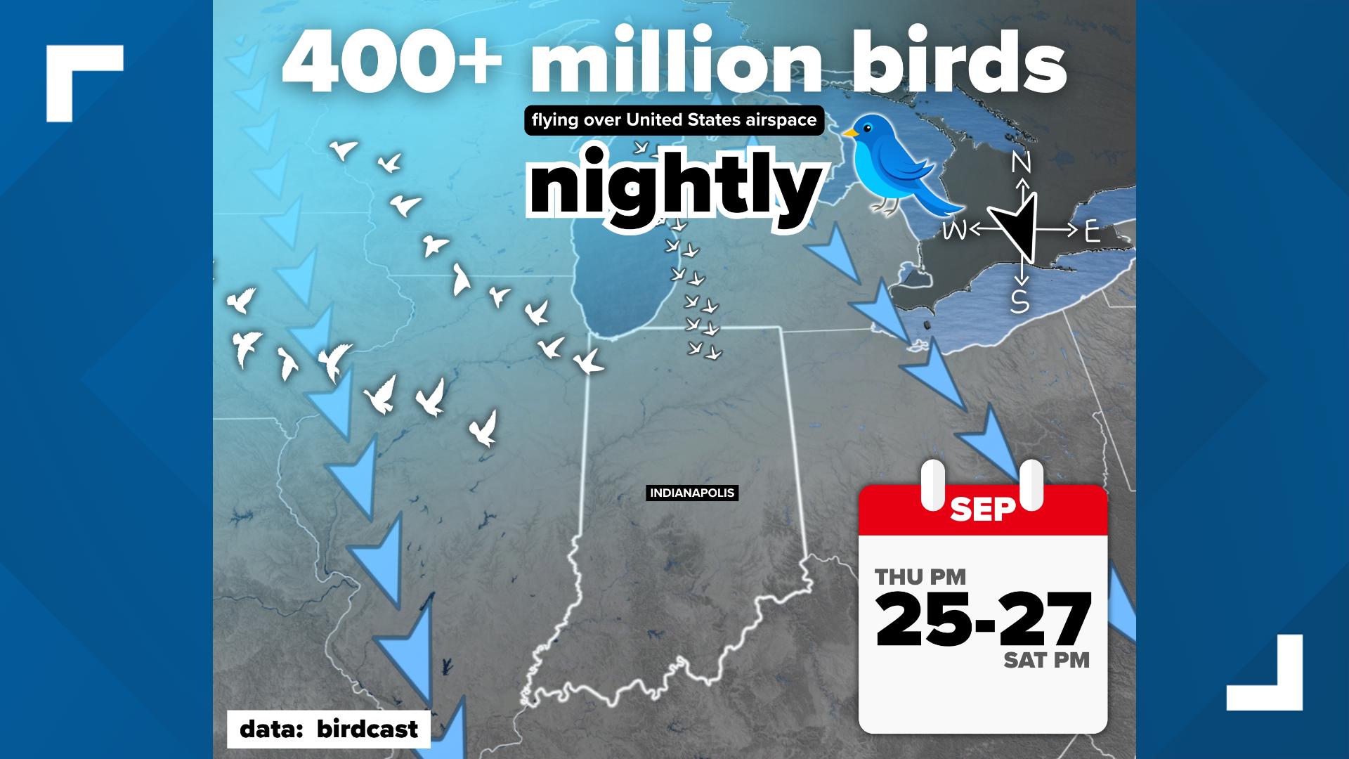 Peak bird migration happening now over Indiana: Millions flying south ...