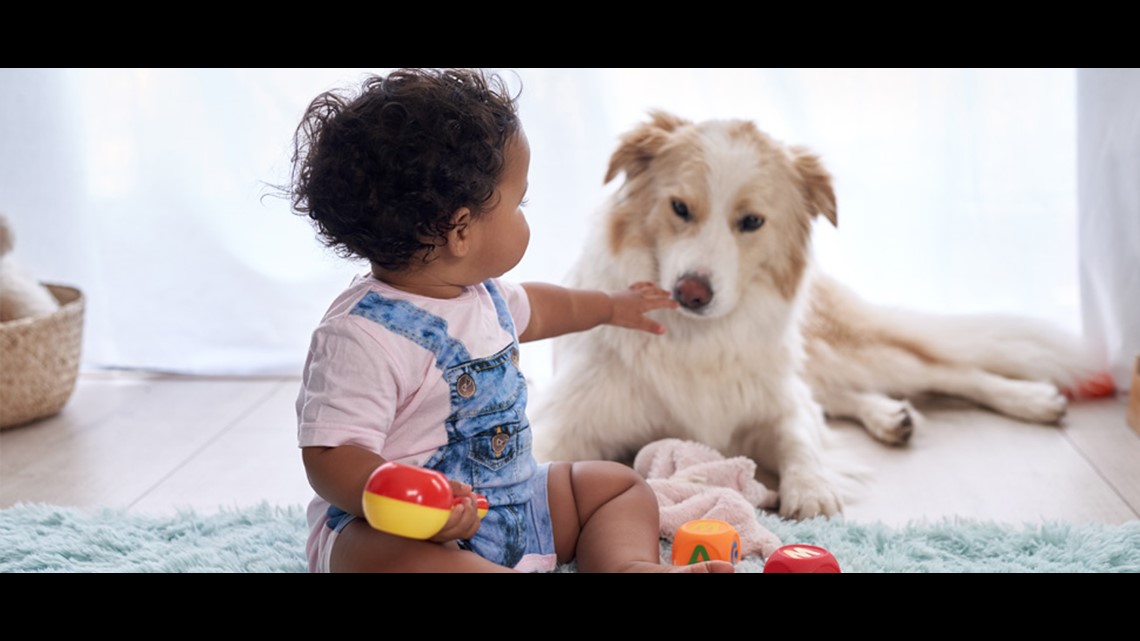 CDC extends social distancing guidelines to include pets | wthr.com