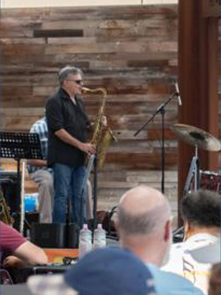 'Animals and All that Jazz' summer concerts return to the Indianapolis ...