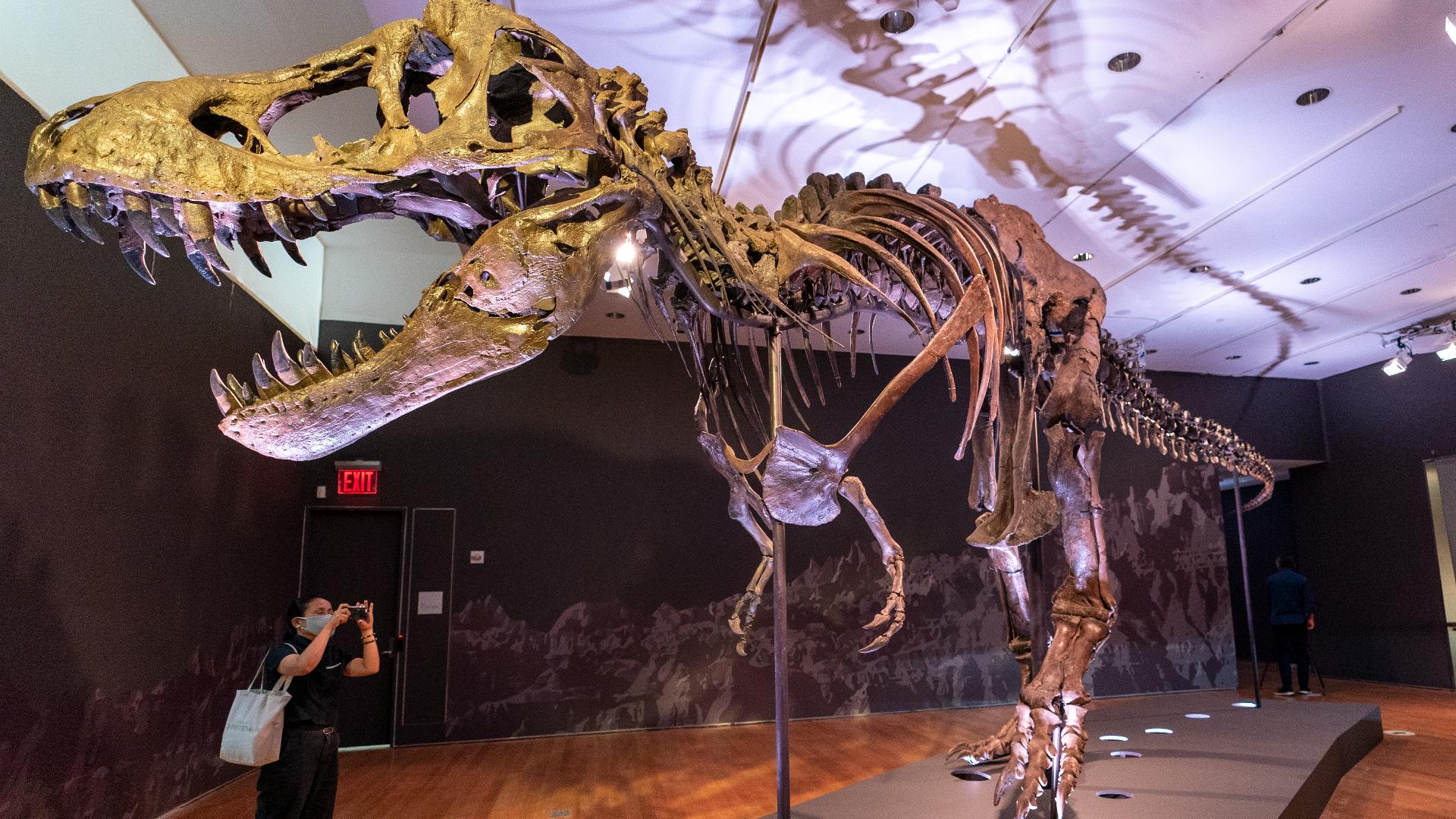 US representative from Indiana introduces bill to add American mastodon ...