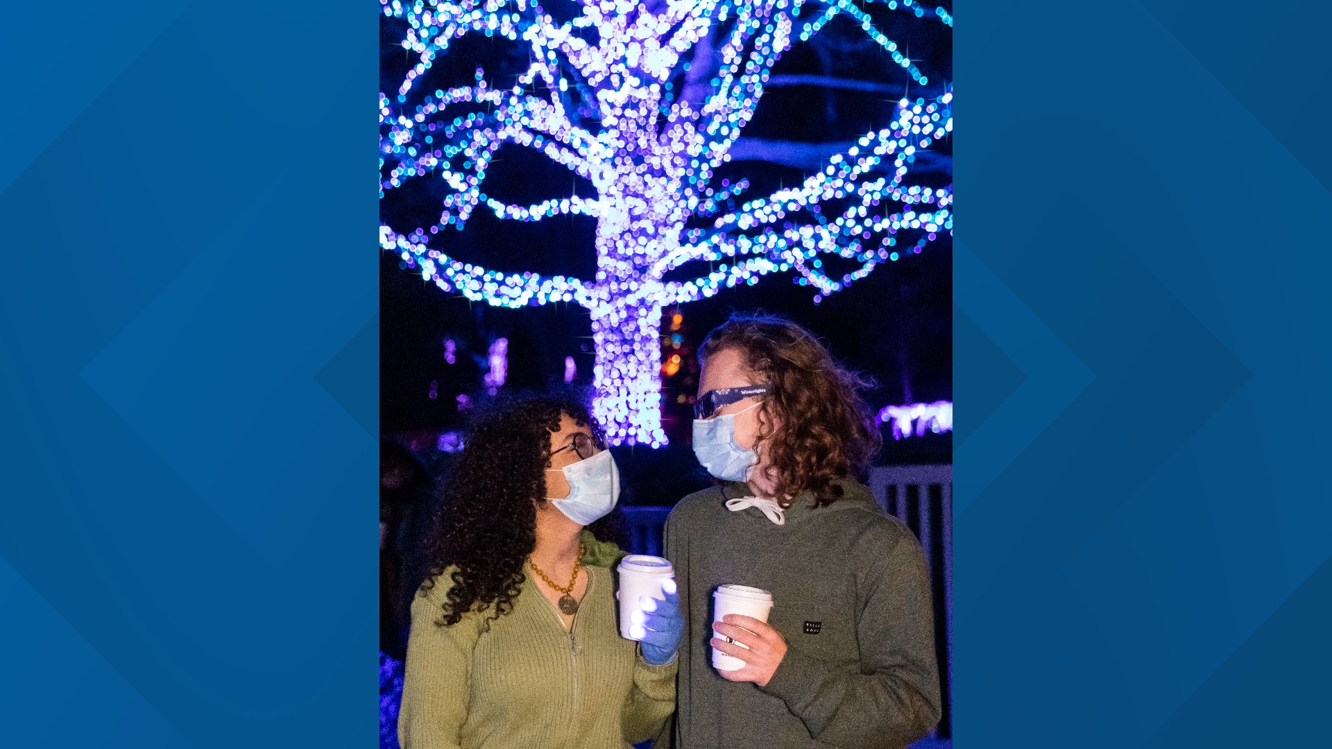 Winterlights returns to Newfields in Indianapolis | wthr.com