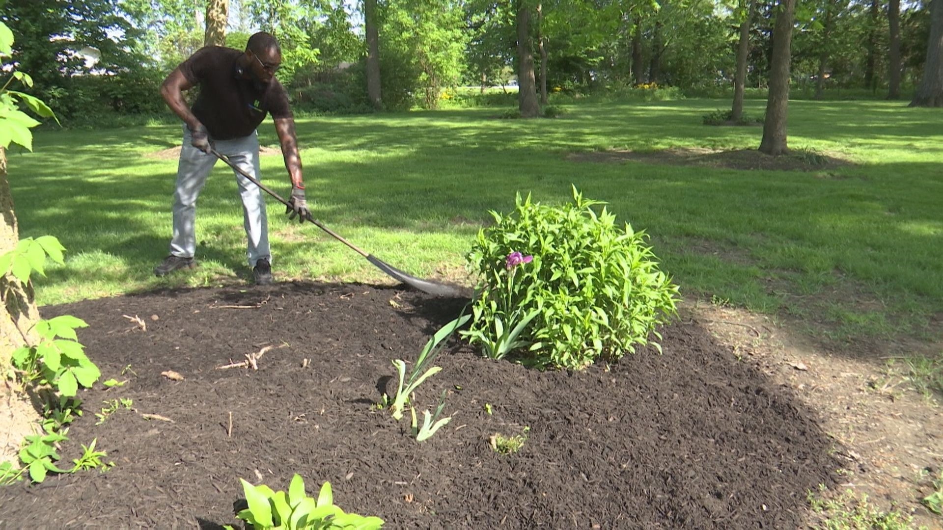 Landscaping company provides jobs for addicts in recovery | wthr.com