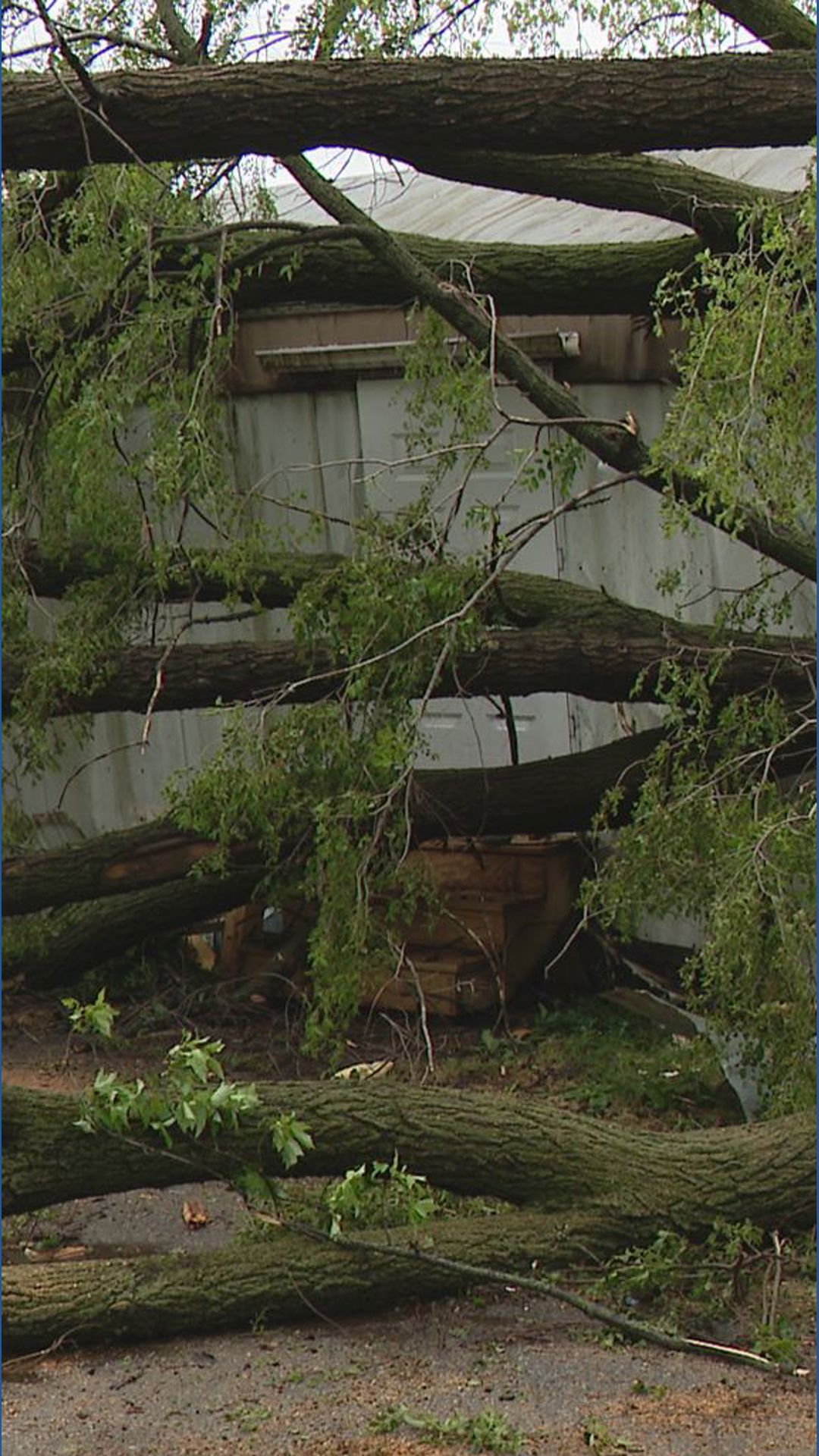 Severe storms swept through central Indiana Thursday afternoon, causing ...