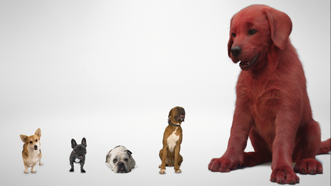 WATCH: Paramount Pictures releases first look at live-action 'Clifford ...