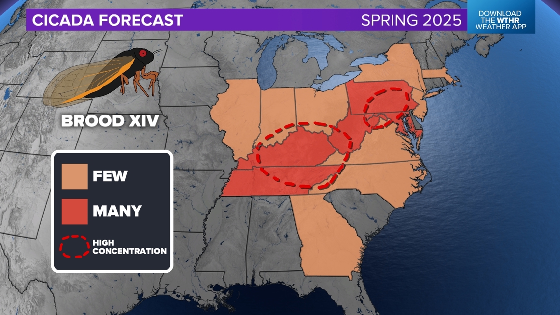 See where brood 14 cicadas will emerge across the U.S. this spring 2025 ...