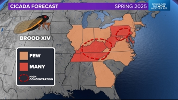 See where brood 14 cicadas will emerge across the U.S. this spring 2025 ...