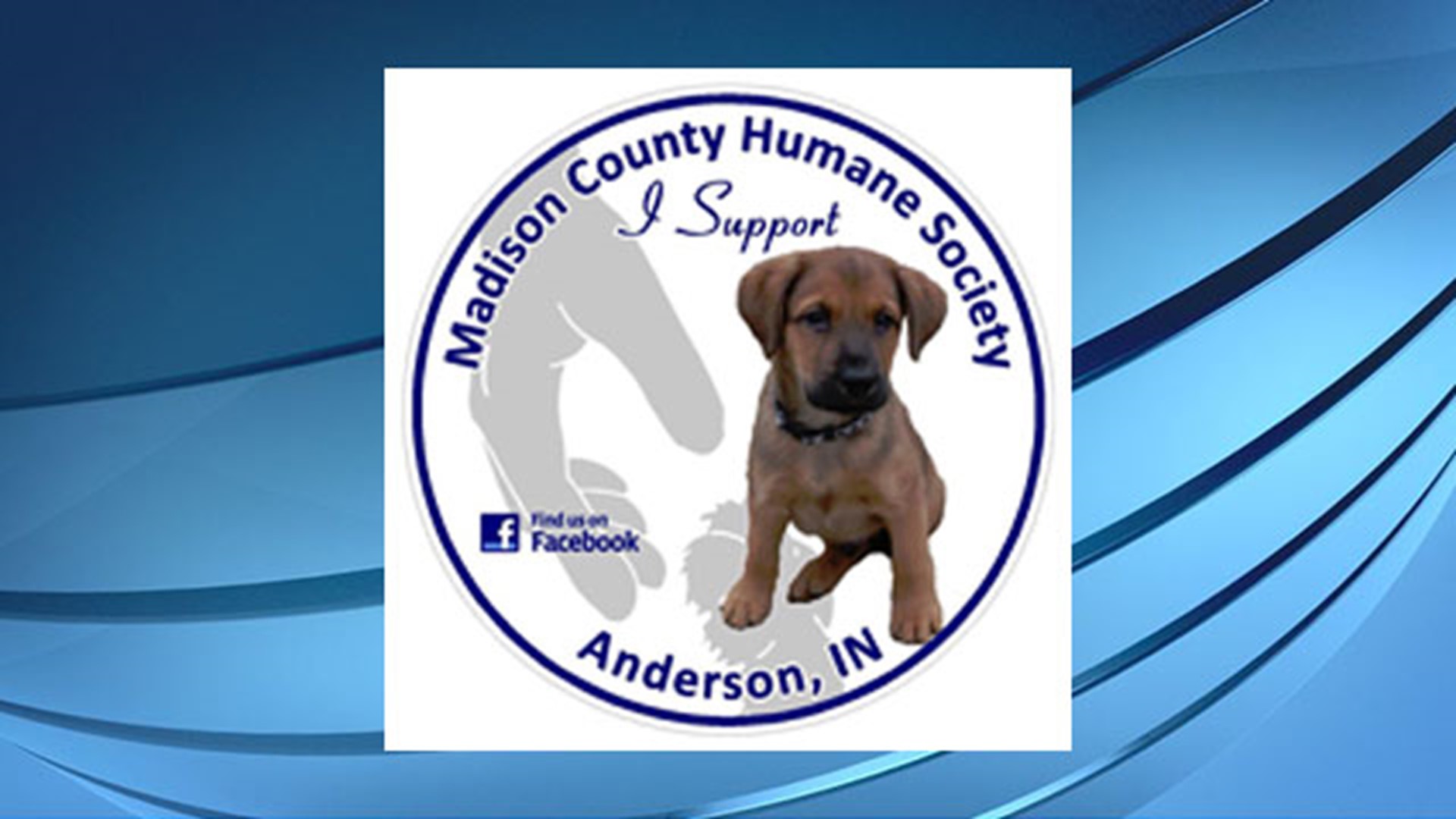Dog virus closes Madison County Humane Society indefinitely | wthr.com