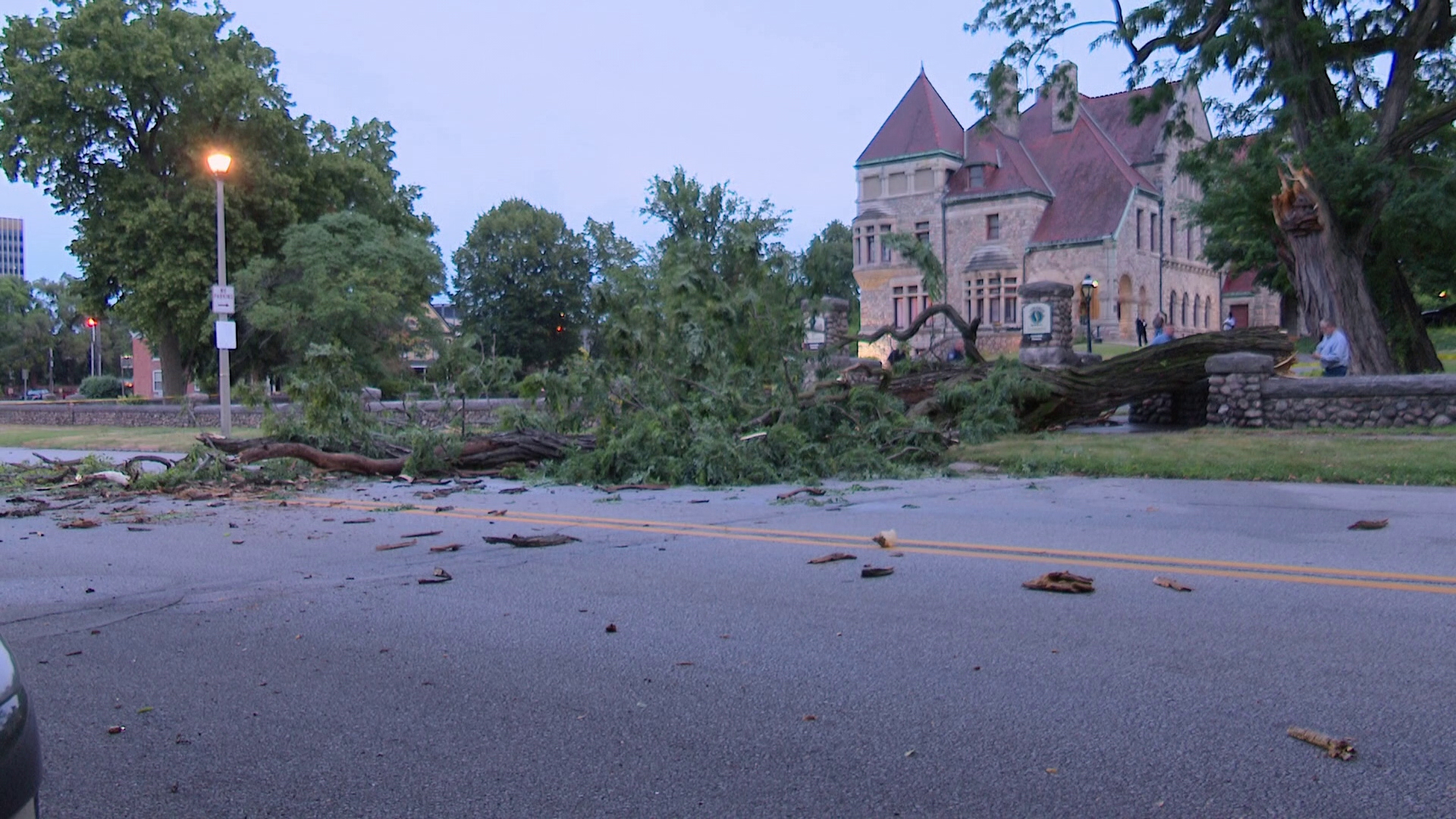 Indianapolis man dies, wife injured from falling tree limb in South ...