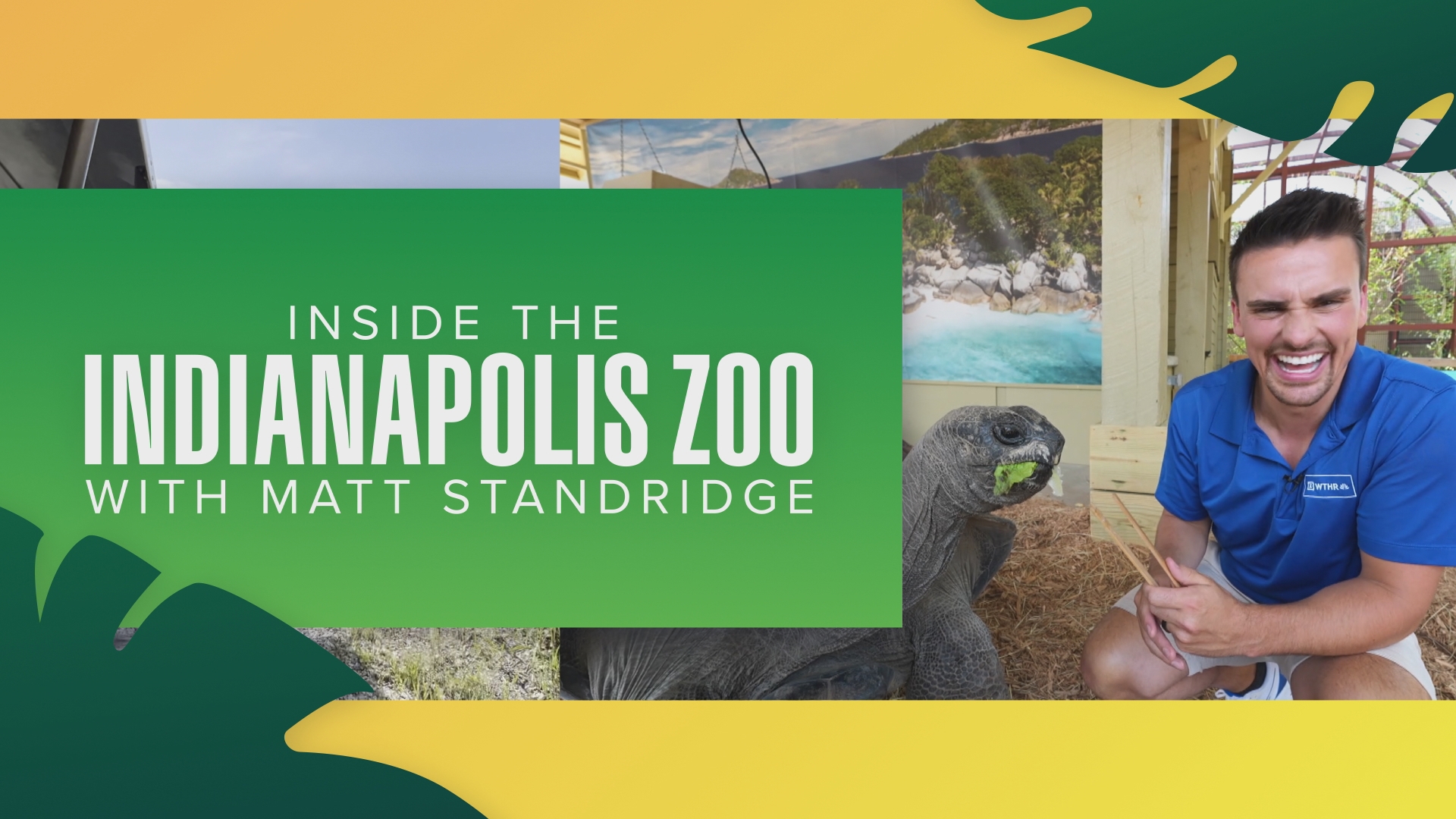 Inside the Indianapolis Zoo | Conservation efforts, meet the giant ...
