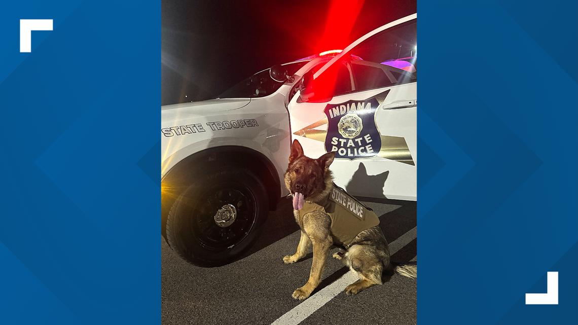 Indiana State Police K-9 Enzo receives body armor thanks to national ...