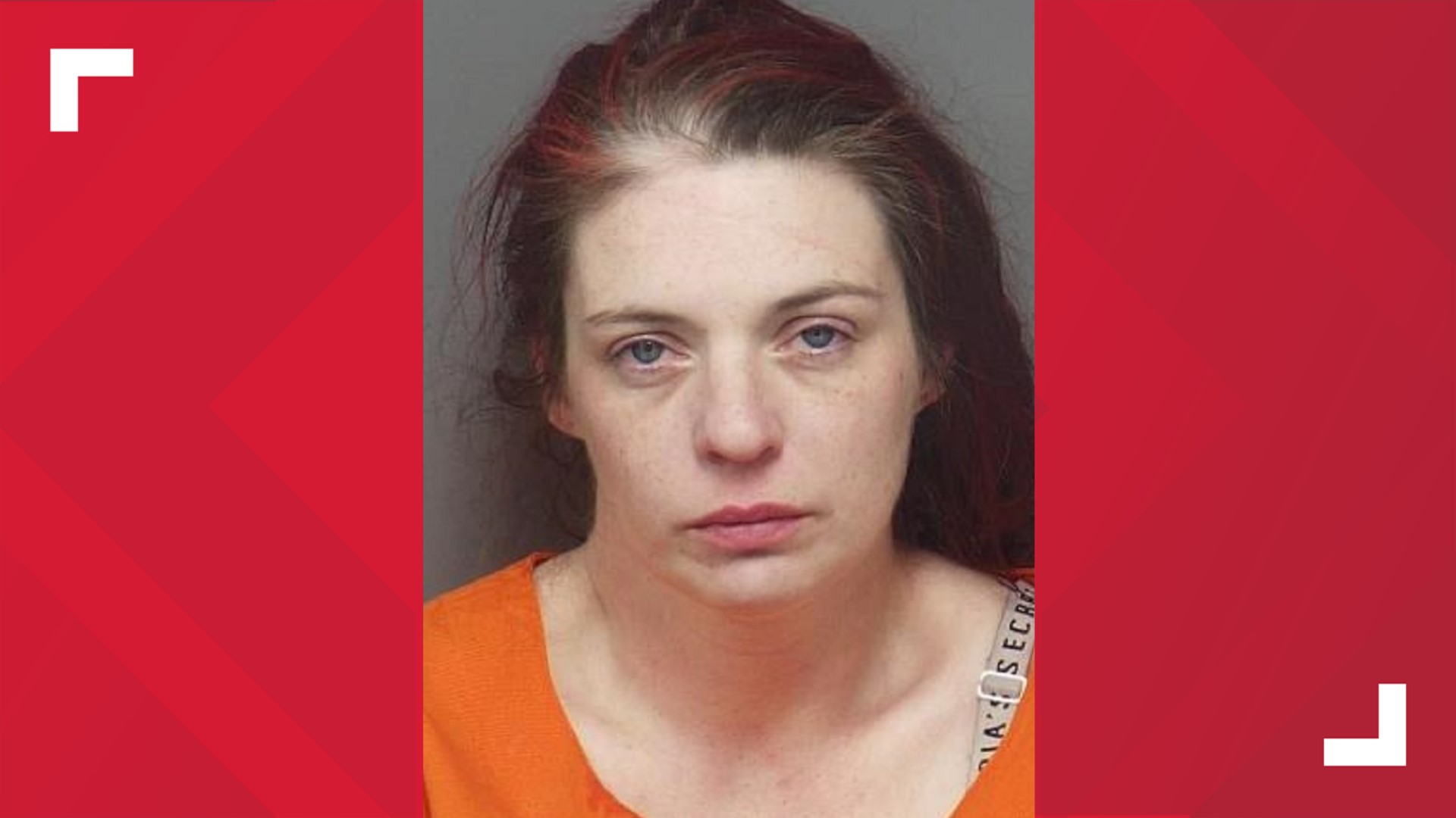 Docs: Former house cleaner charged in Brownsburg armed robbery | wthr.com