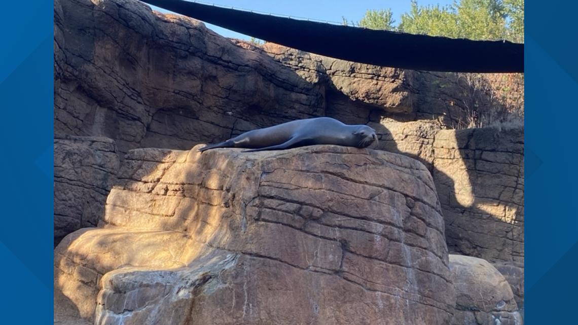 ZooBoo returns to the Indianapolis Zoo for 2024 | wthr.com