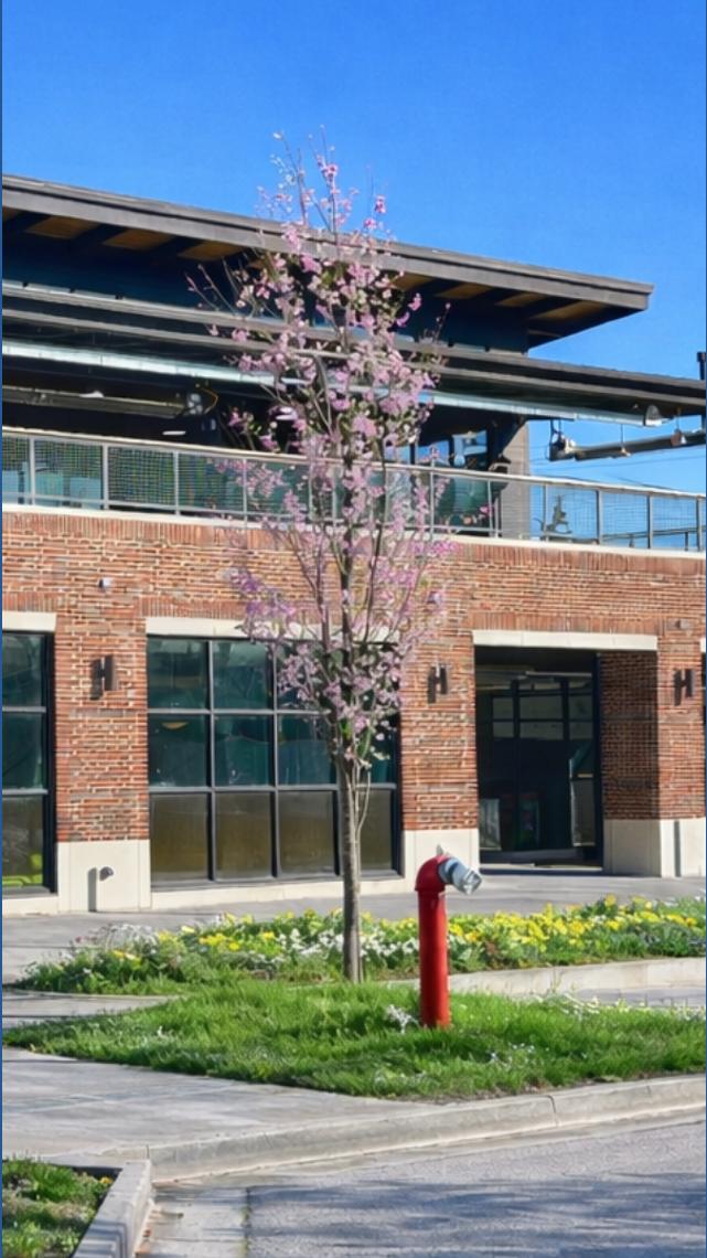 Sun King Brewery announces opening date of new Westfield taproom and ...