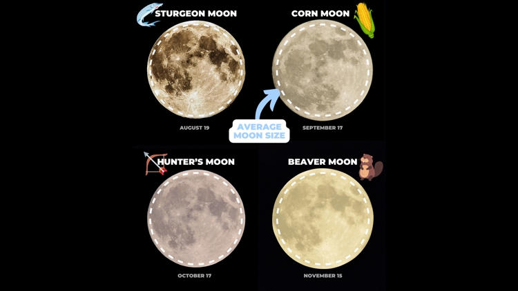4 supermoons coming in a row | How large will they appear? | wthr.com