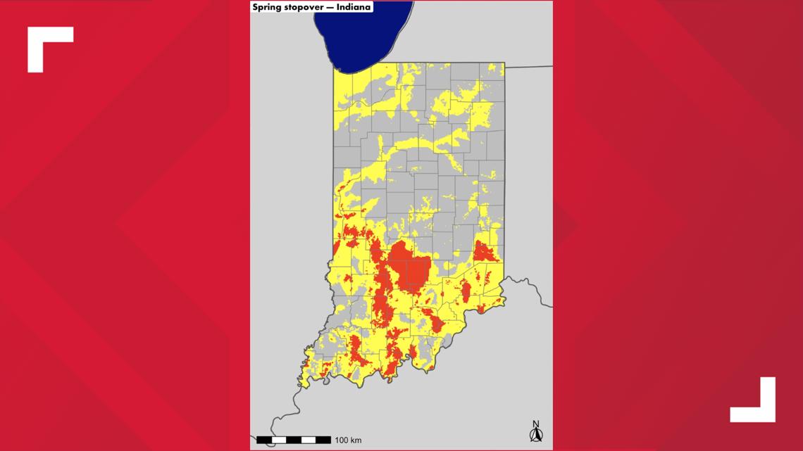 Millions of birds flying north over Indiana this week | Where are their ...