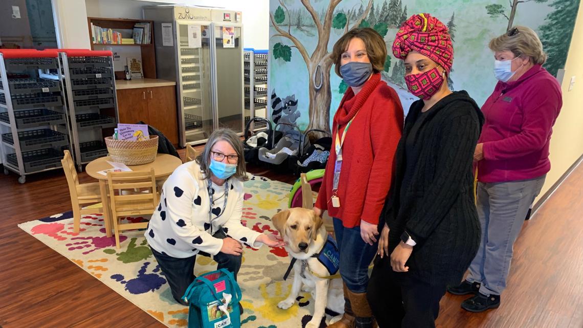 ICAN service dogs help deliver Valentine's Day goodies | wthr.com