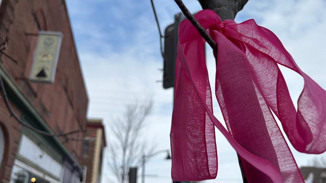 Pink ribbons hang in tribute to Fishers teen Hailey Buzbee | wthr.com
