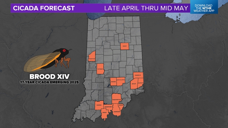 See where brood 14 cicadas will emerge across the U.S. this spring 2025 ...