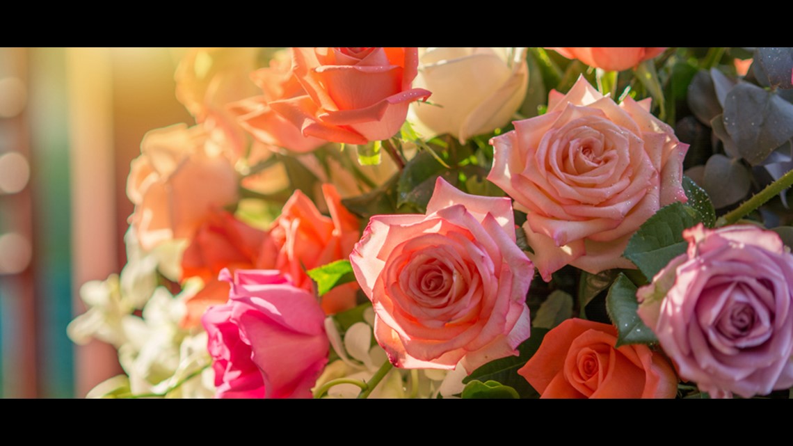 The meaning behind each color of roses | wthr.com