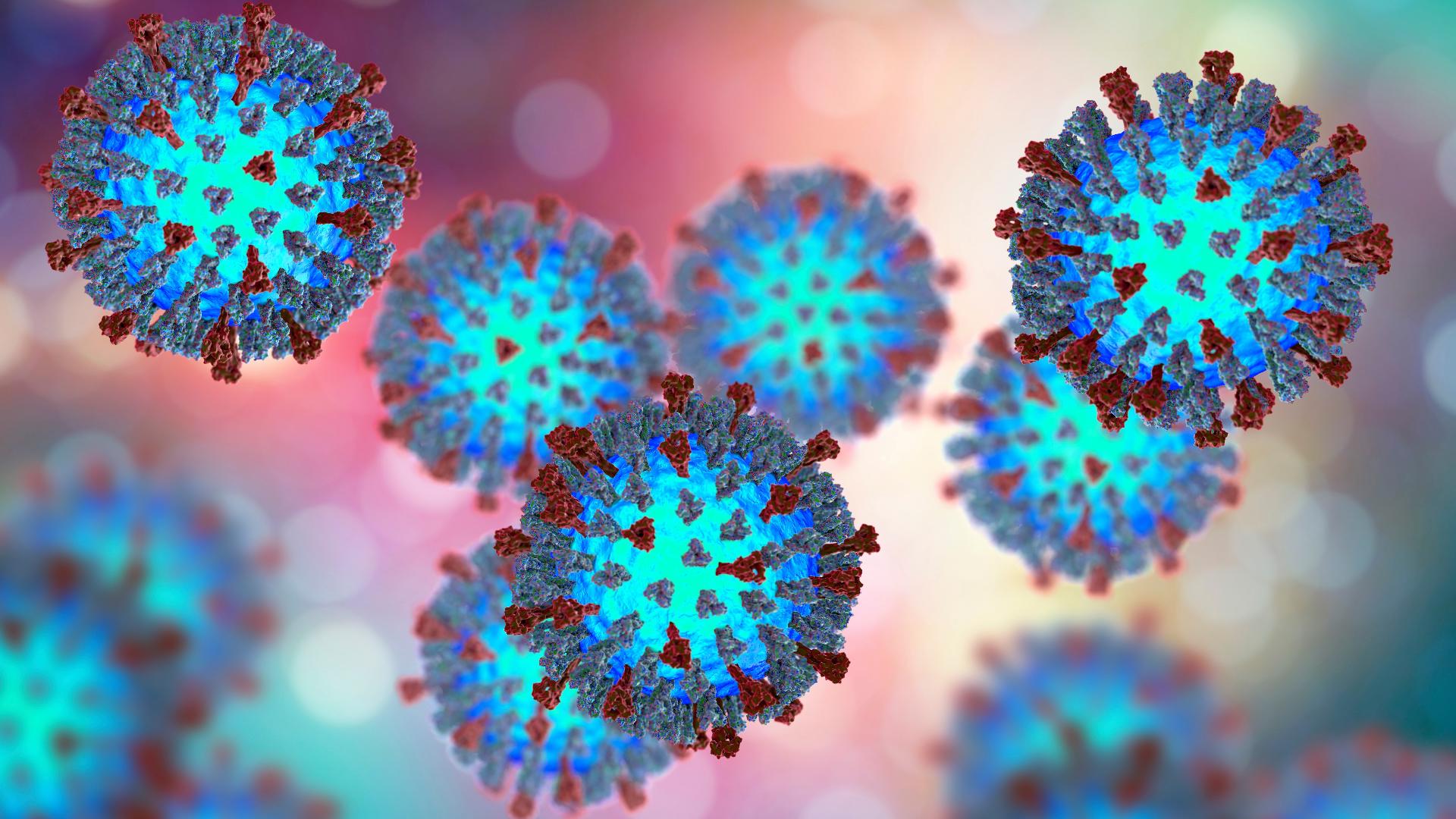 What does the measles actually do to you? | wthr.com