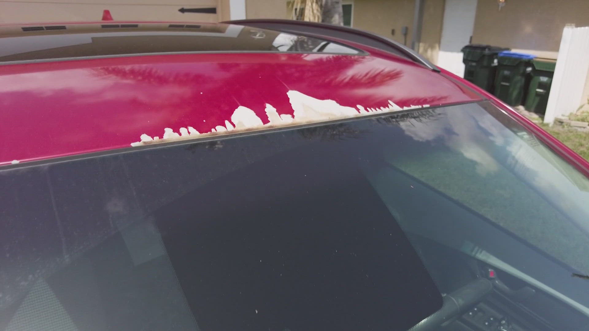 Car paint-peeling problem affecting thousands in Florida | wthr.com