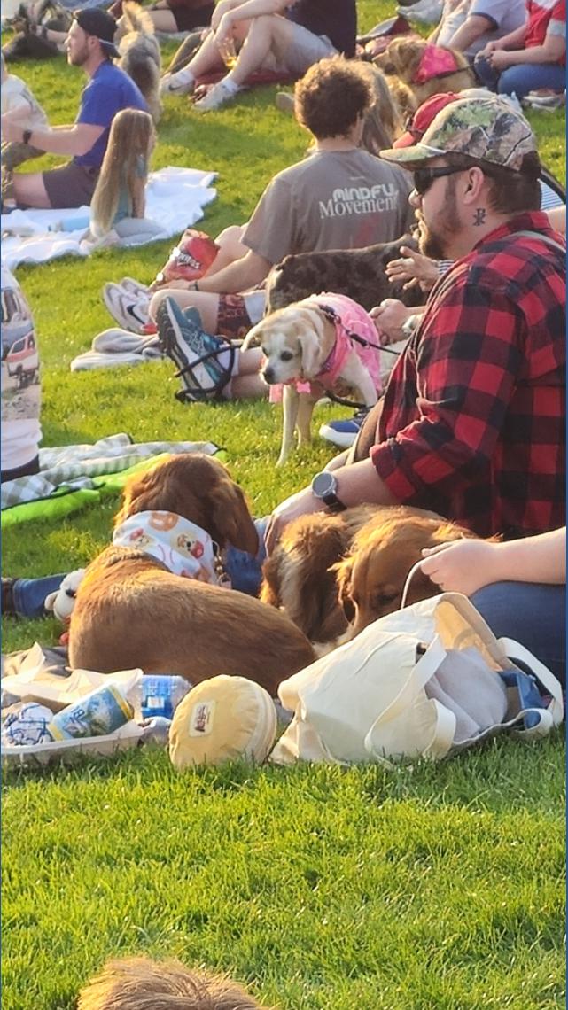 Indianapolis Indians welcome furry fans at Victory Field for 'Bark in ...