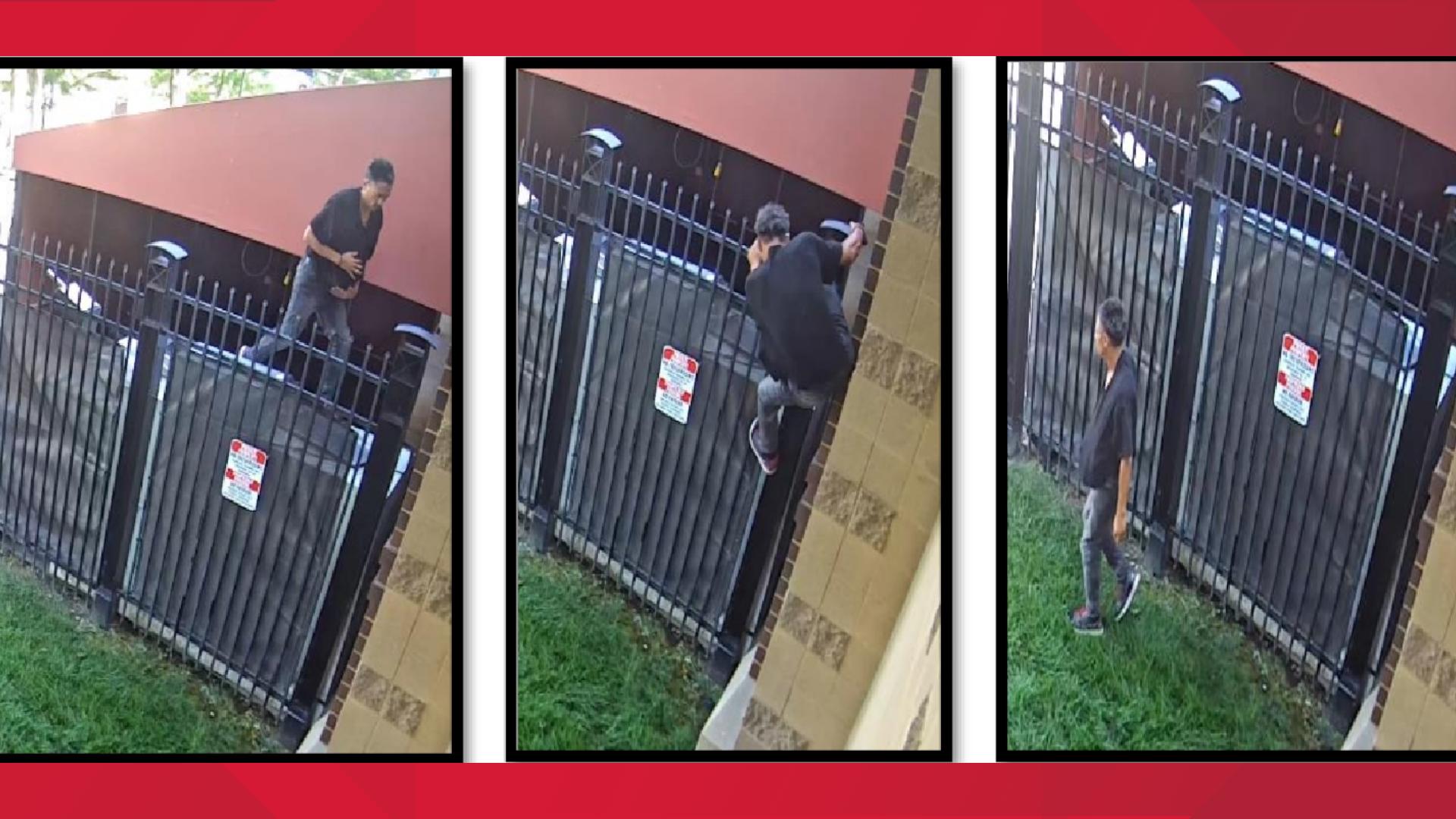Serial thief, trespasser sentenced after incidents at Victory Field, JW ...