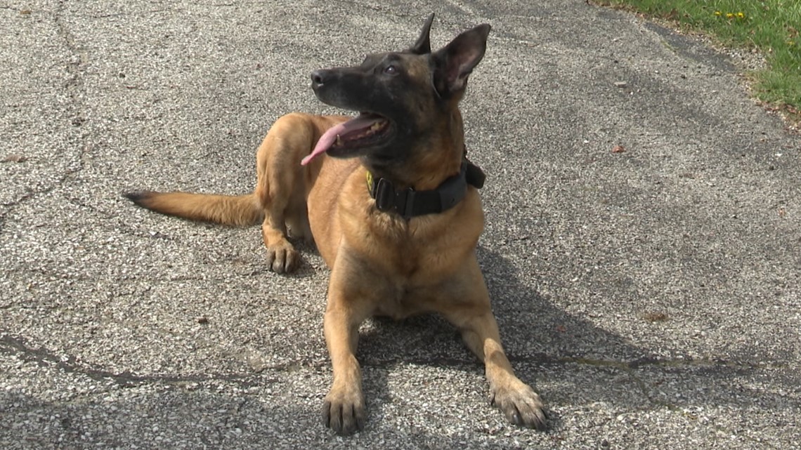 ISP K-9 retires to live with partner's family | wthr.com