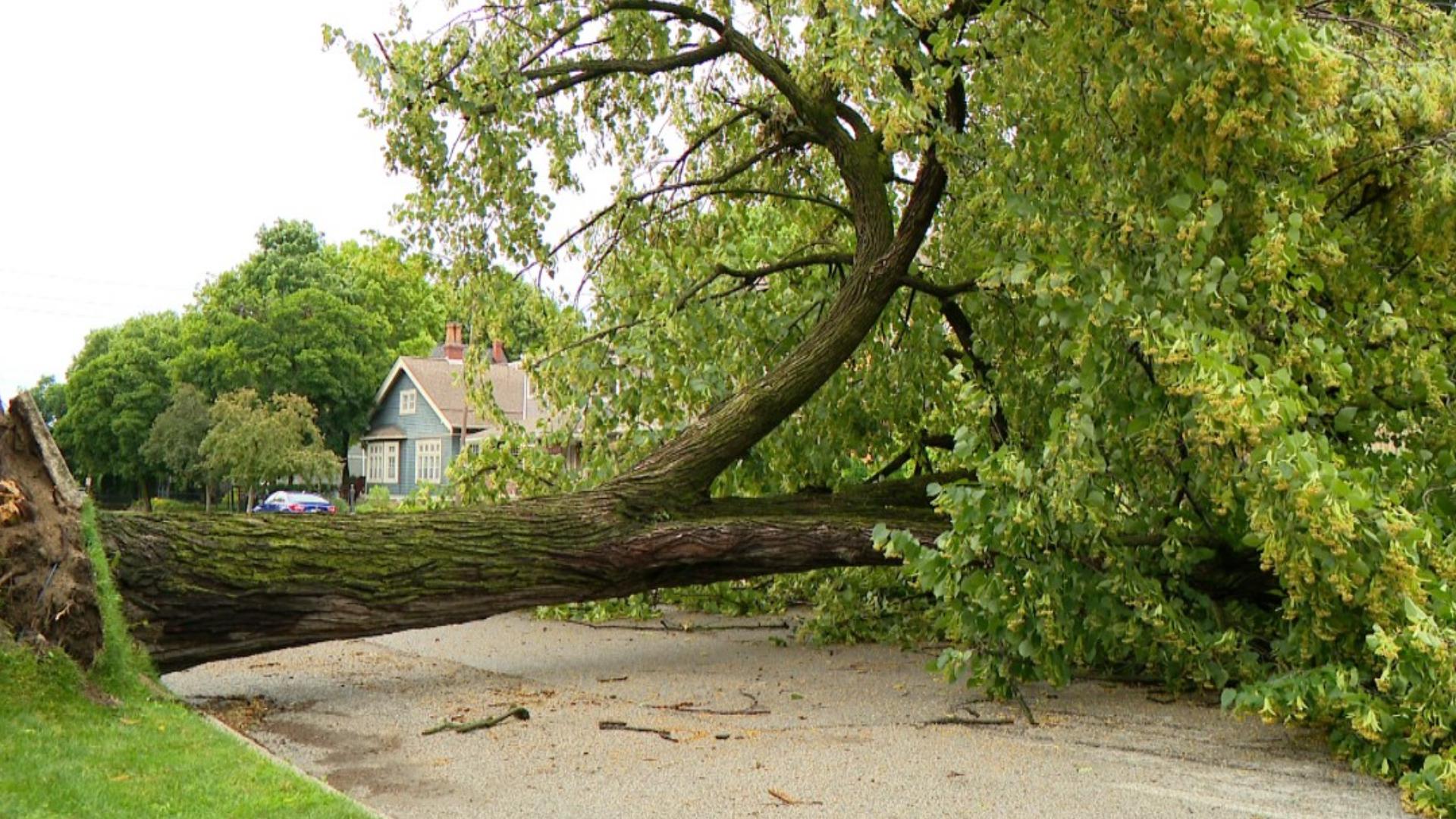 Strong storms cause damage, sends tree crashing through Lawrence home ...