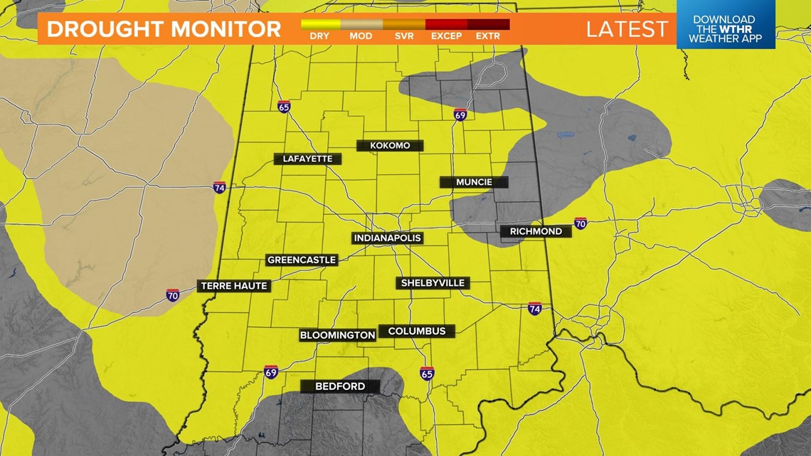 Dry spell, wildfire smoke fueling rough allergy season | wthr.com
