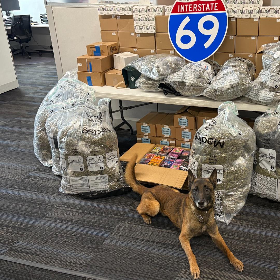 Over 200 pounds of marijuana, THC products sniffed out by K-9, seized ...