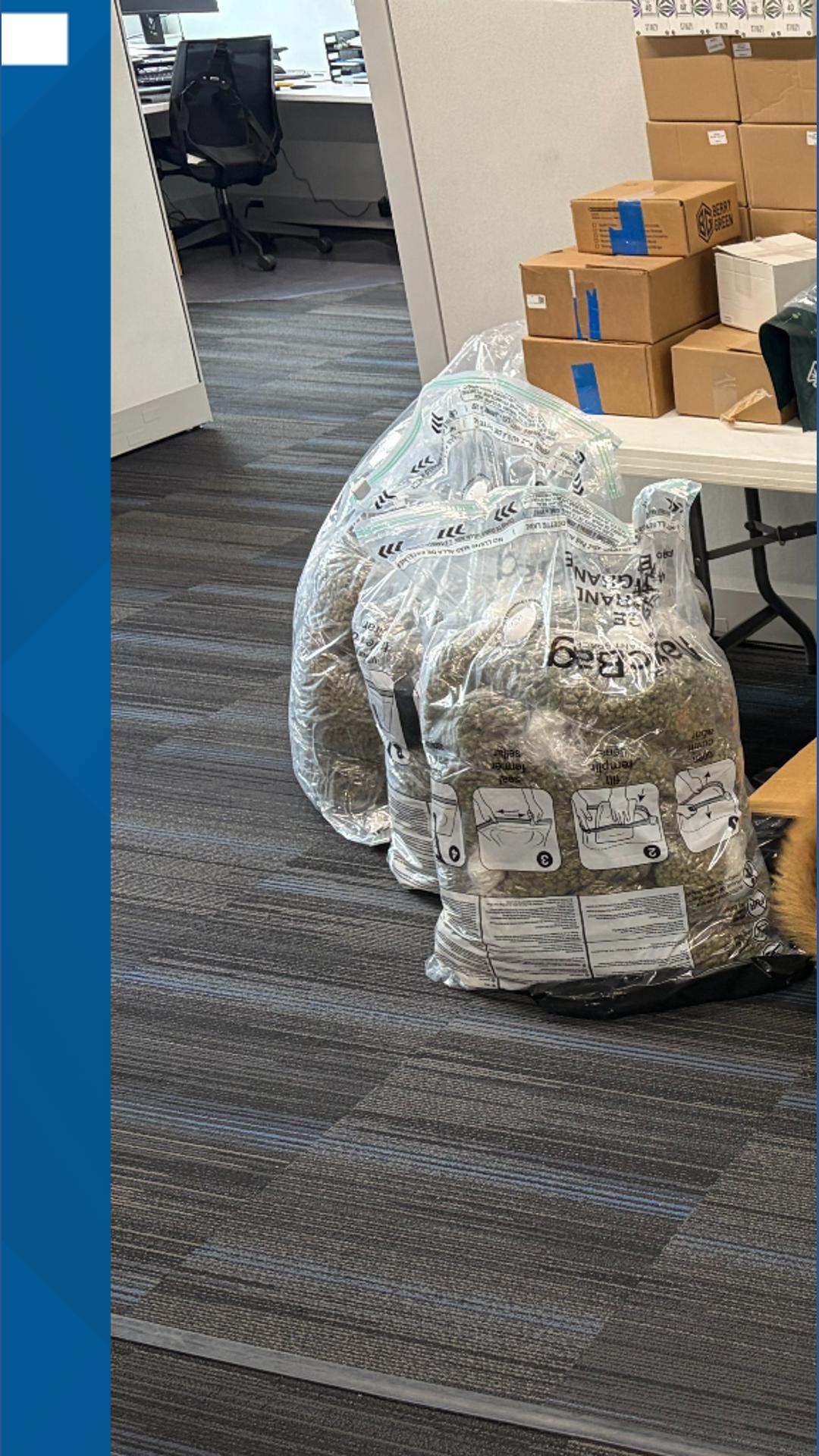 Over 200 pounds of marijuana, THC products sniffed out by K-9, seized ...