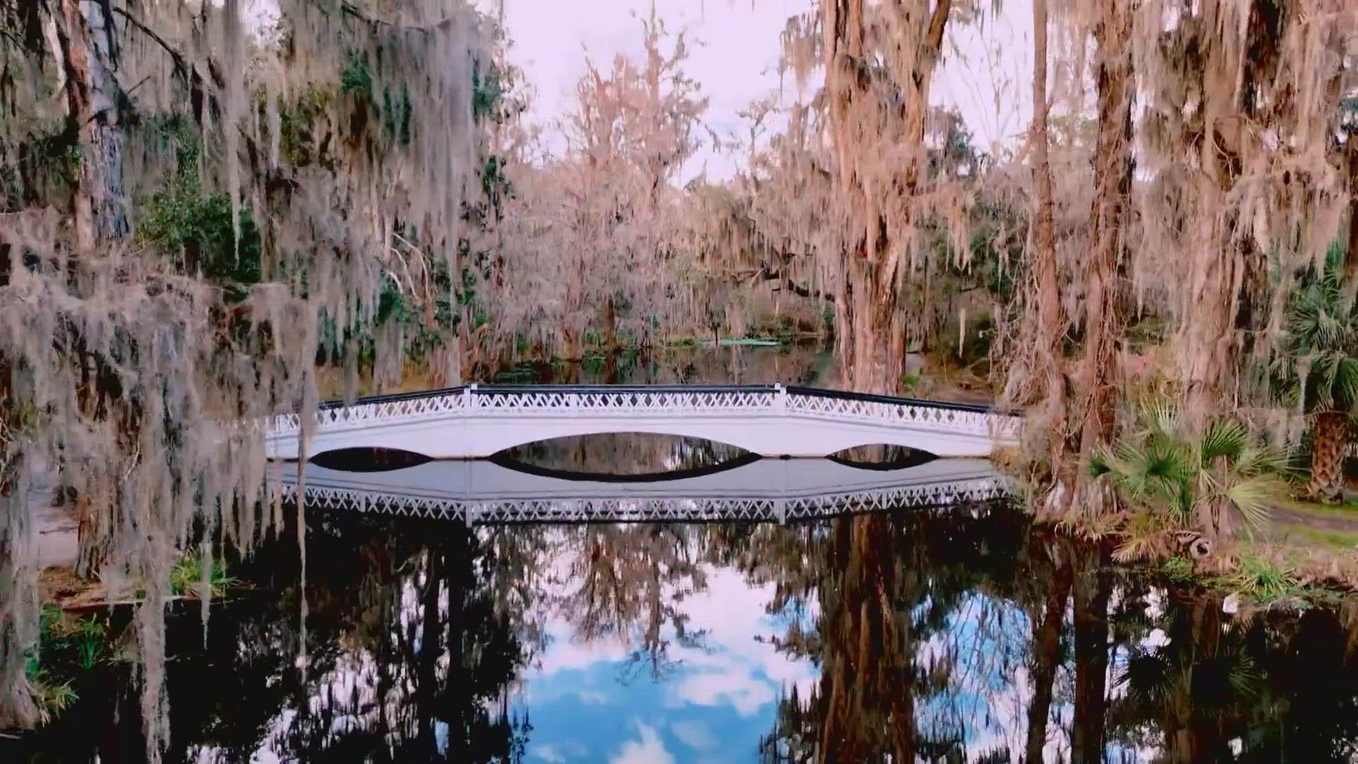 Preview of Chuck's Big Adventure in Charleston, South Carolina | wthr.com