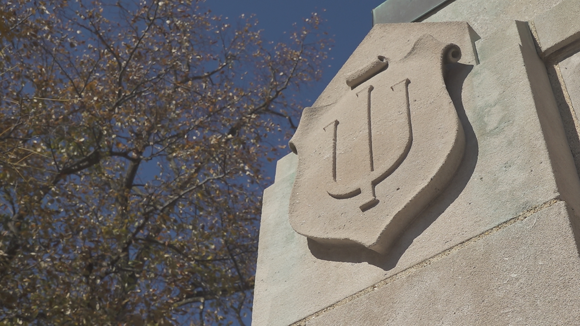 IU lecturer fights for job after being disciplined for 'white supremacy ...