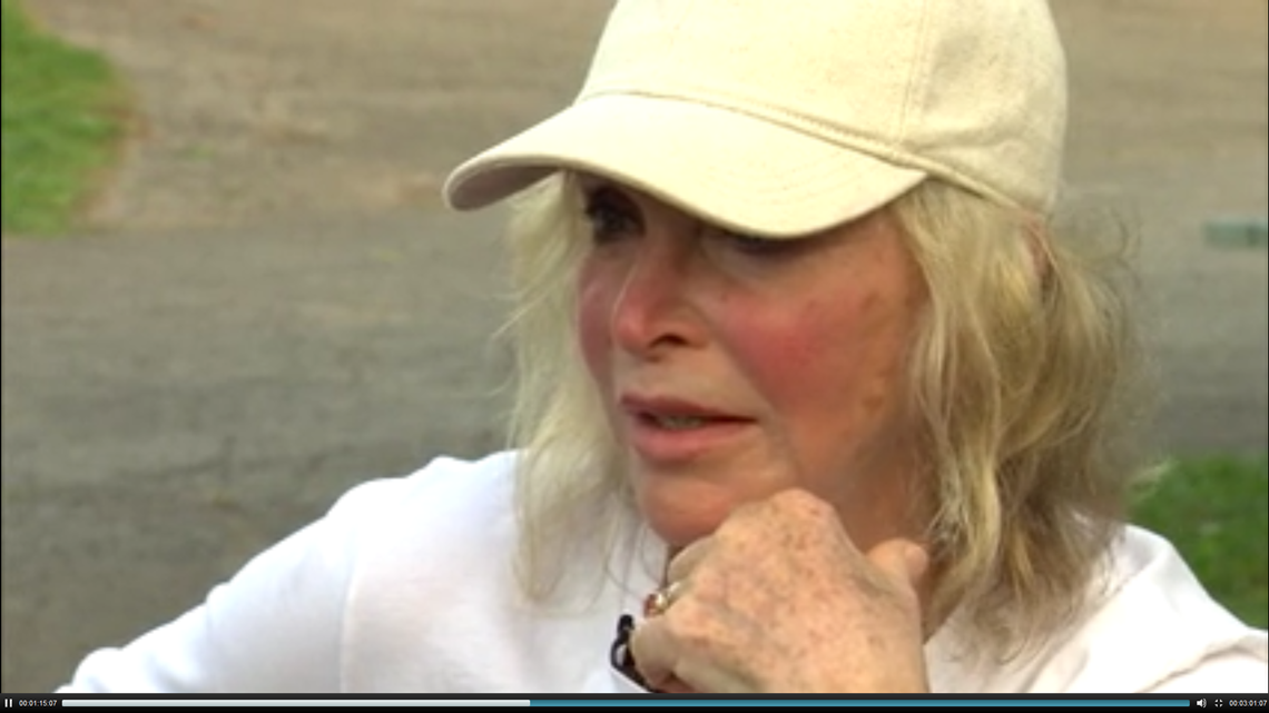 Local artist Nancy Noel dead at 74 years old | wthr.com