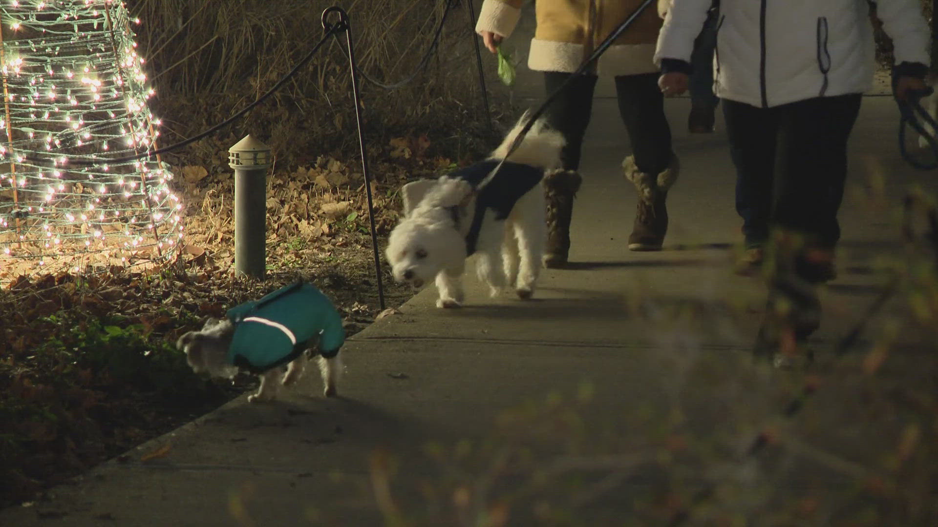 Dogs takeover for the last night of Winterlights at Newfields | wthr.com