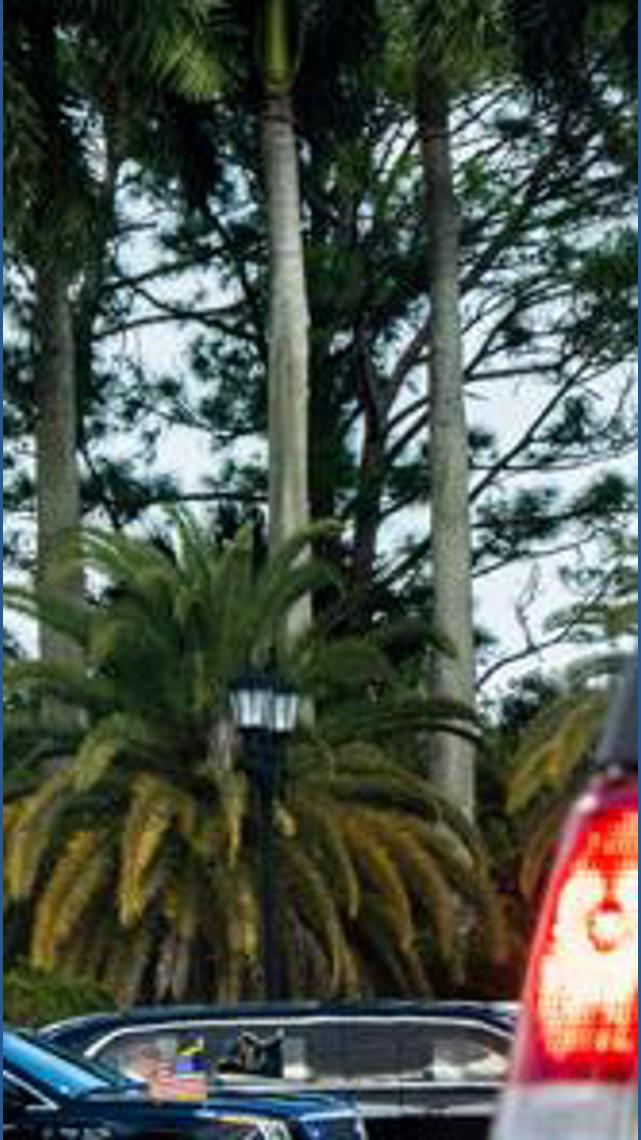 Trump's motorcade in Florida rerouted due to 'suspicious object' | wthr.com