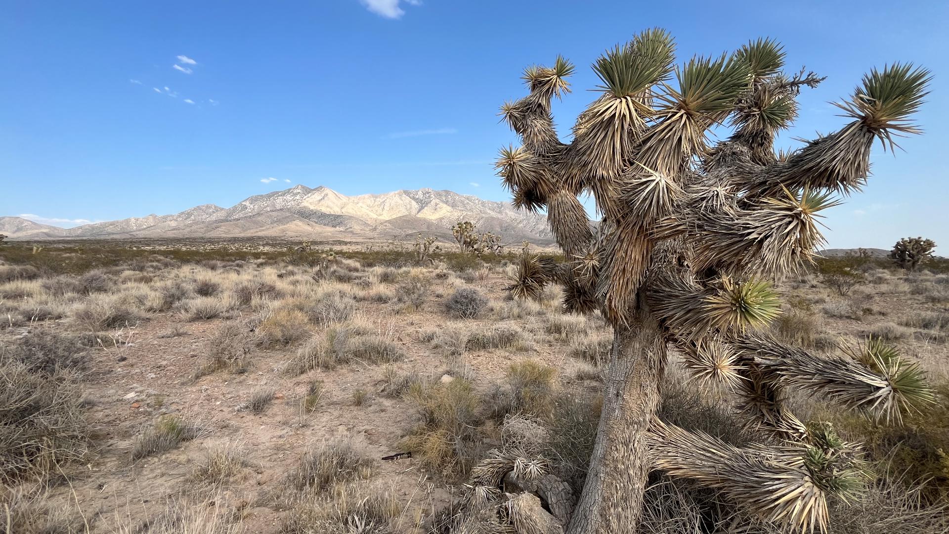 New details suggest missing Muncie, Indiana boy Hayden Manis is dead ...