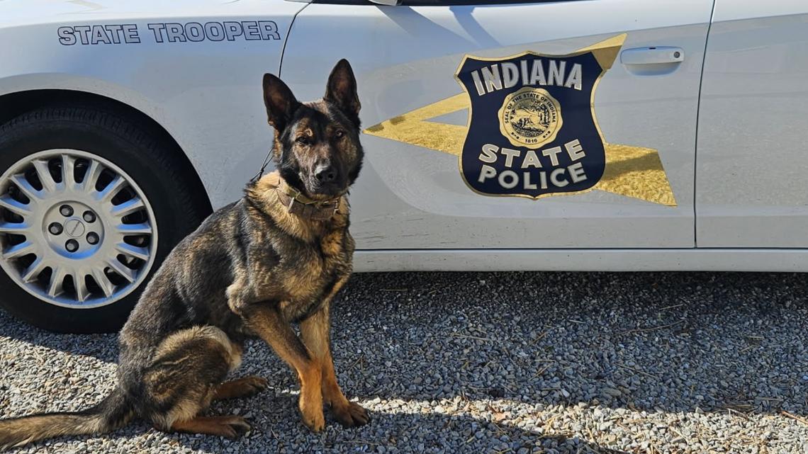 ISP K-9 officer gets body armor donation | wthr.com