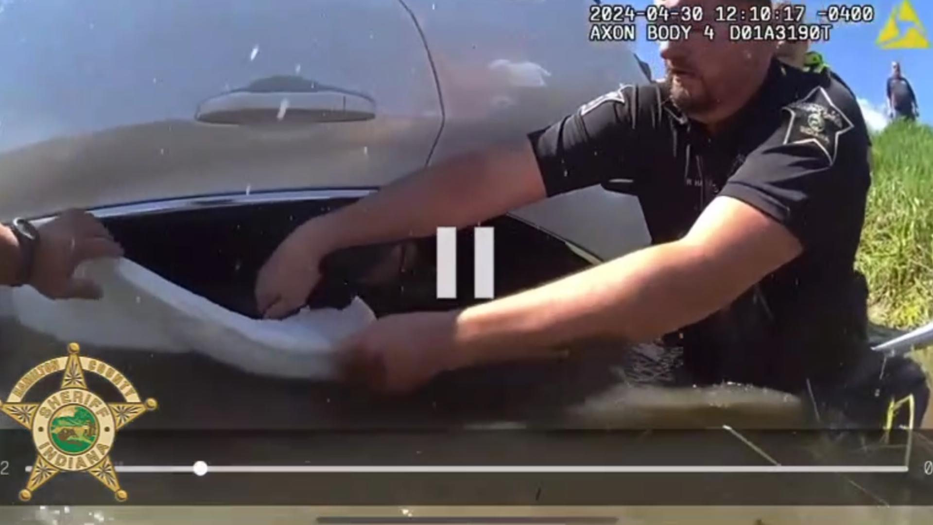 WATCH: Hamilton County deputies, DNR officers rescue driver in ...