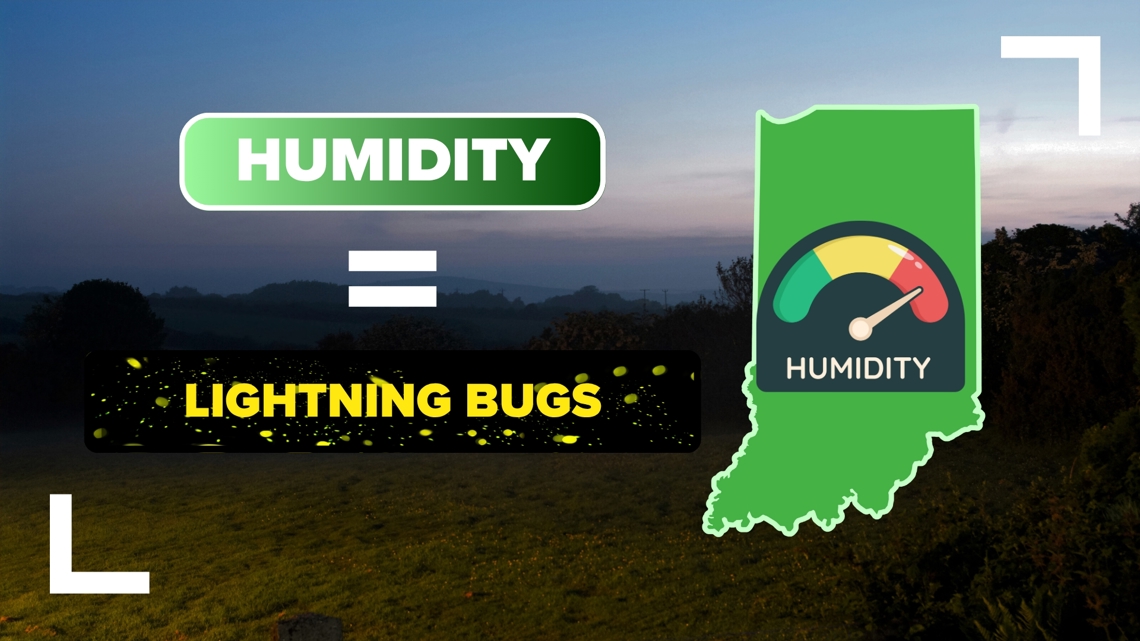 Higher humidity, better display of lightning bugs across Indiana | wthr.com