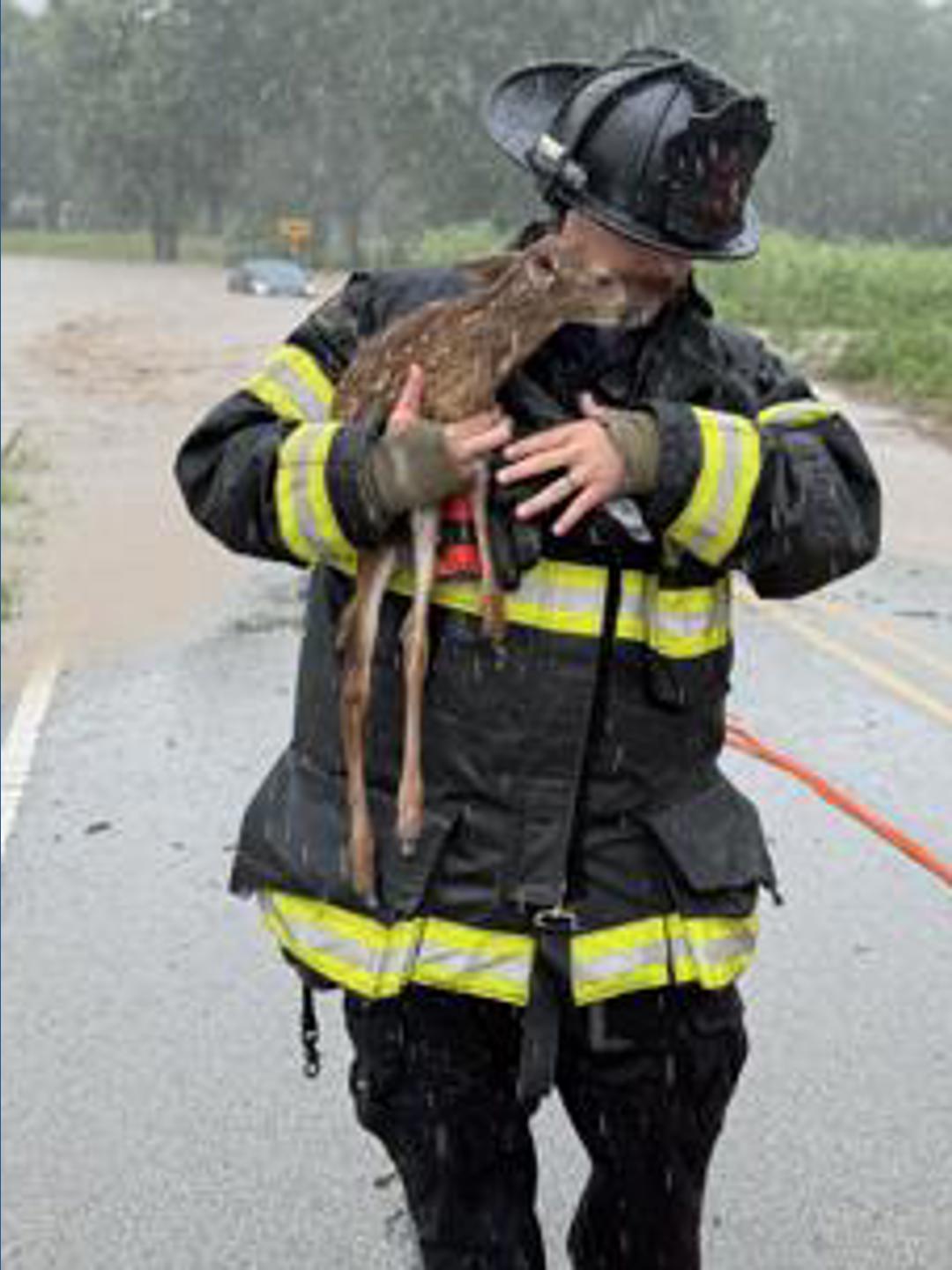 Morgan County first responders rescue baby deer from floodwaters during ...