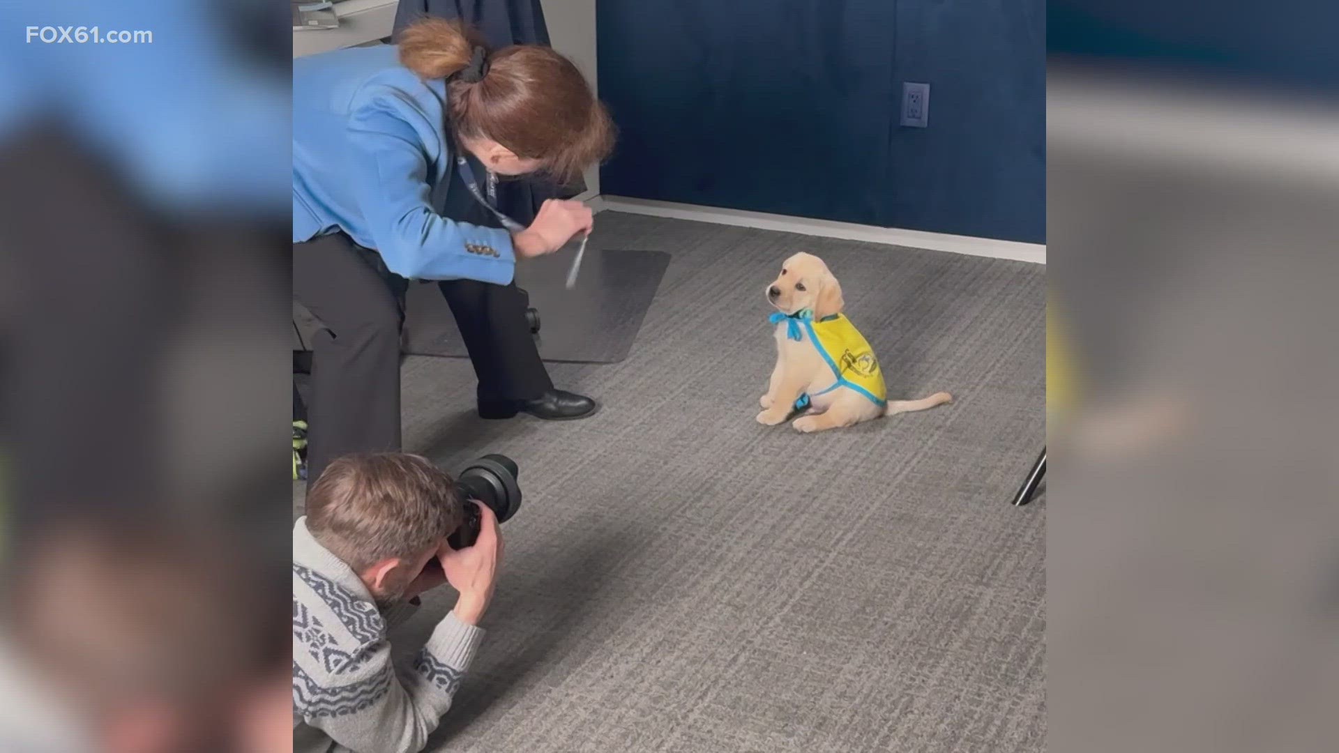 Canine Companions looking for volunteers to help raise future service ...