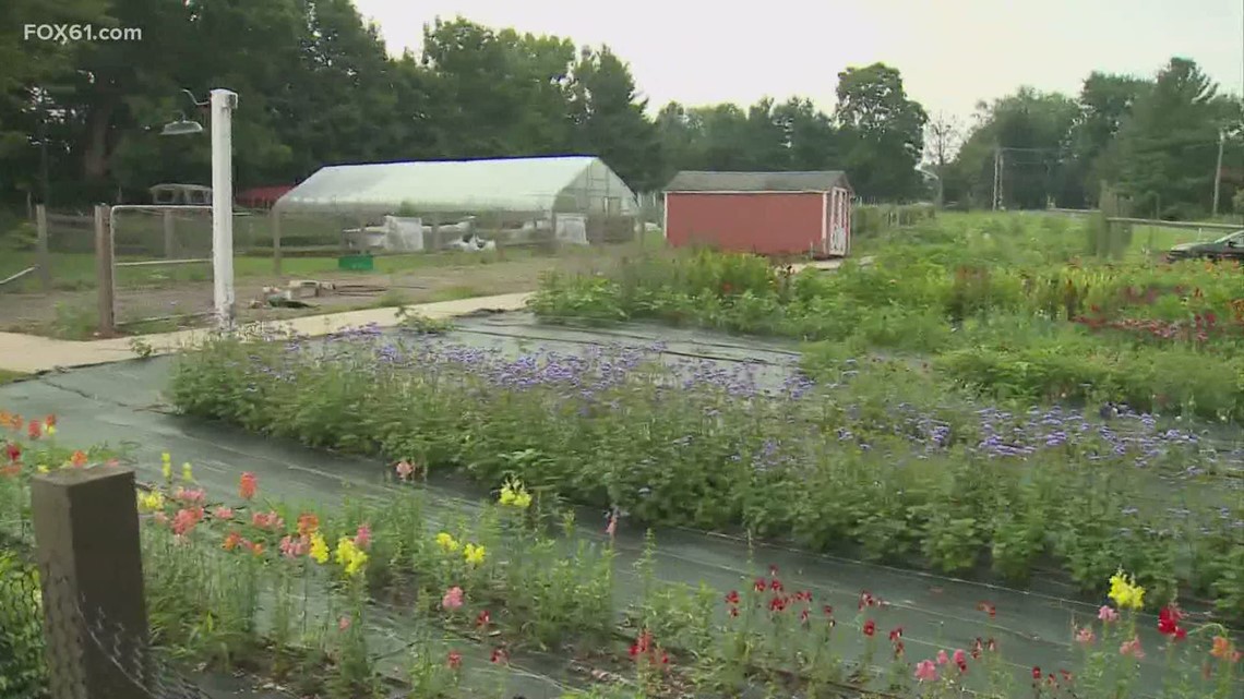 CT agriculture businesses among those ringing out the record rain ...