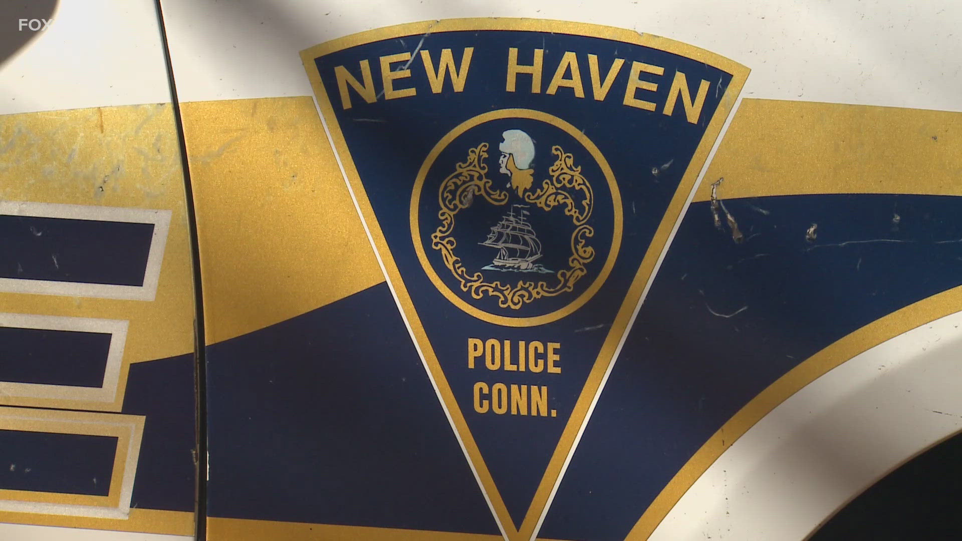 New Haven, Conn. police find no criminality in woman's death | fox61.com